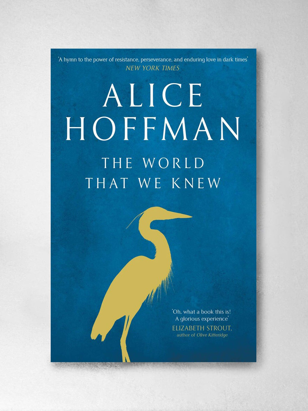 The World That We Knew - Alice Hoffman